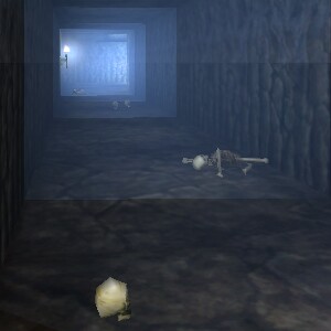 Dungeon of Corpses - My Wiki