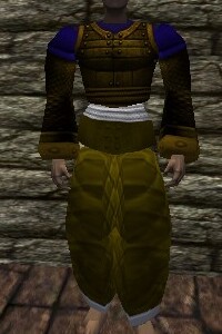 Amuli Armor - My Wiki