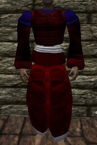 Amuli Armor - My Wiki